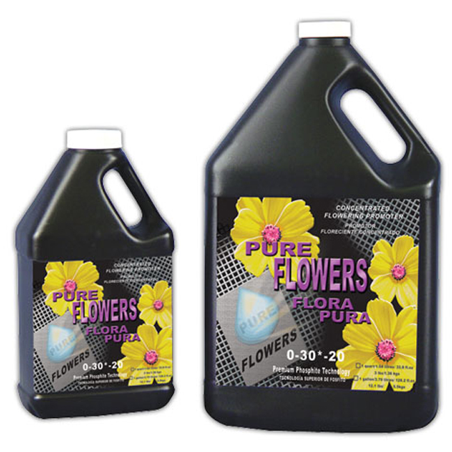 Nature’s Nectar Pure Flowers - Web Hydroponics